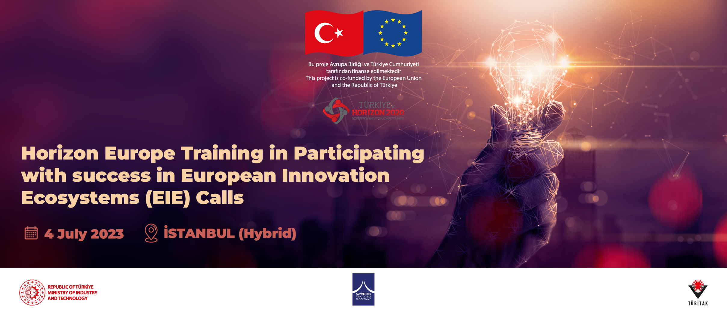 NAG17 - National Advisory Group Training in Participating with success in European Innovation ...